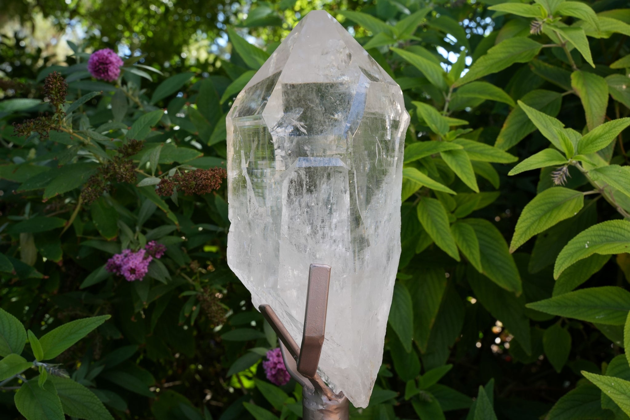 Healing & Beyond – Healing & Beyond